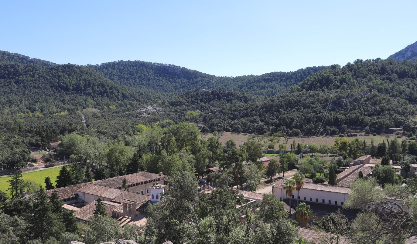 Pollensa Market and Lluc tour